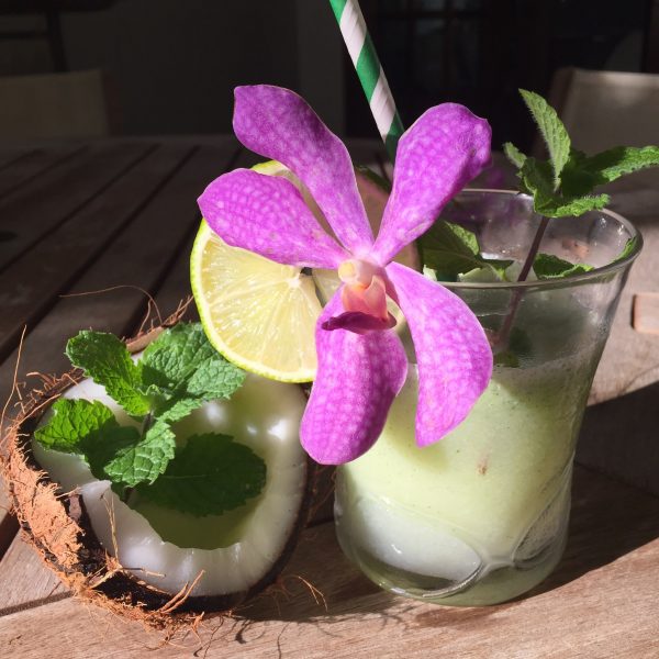 Mojitos de Coco Frozen – ENSALPICADAS