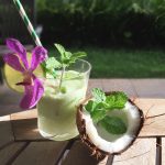 Mojitos de Coco Frozen – ENSALPICADAS