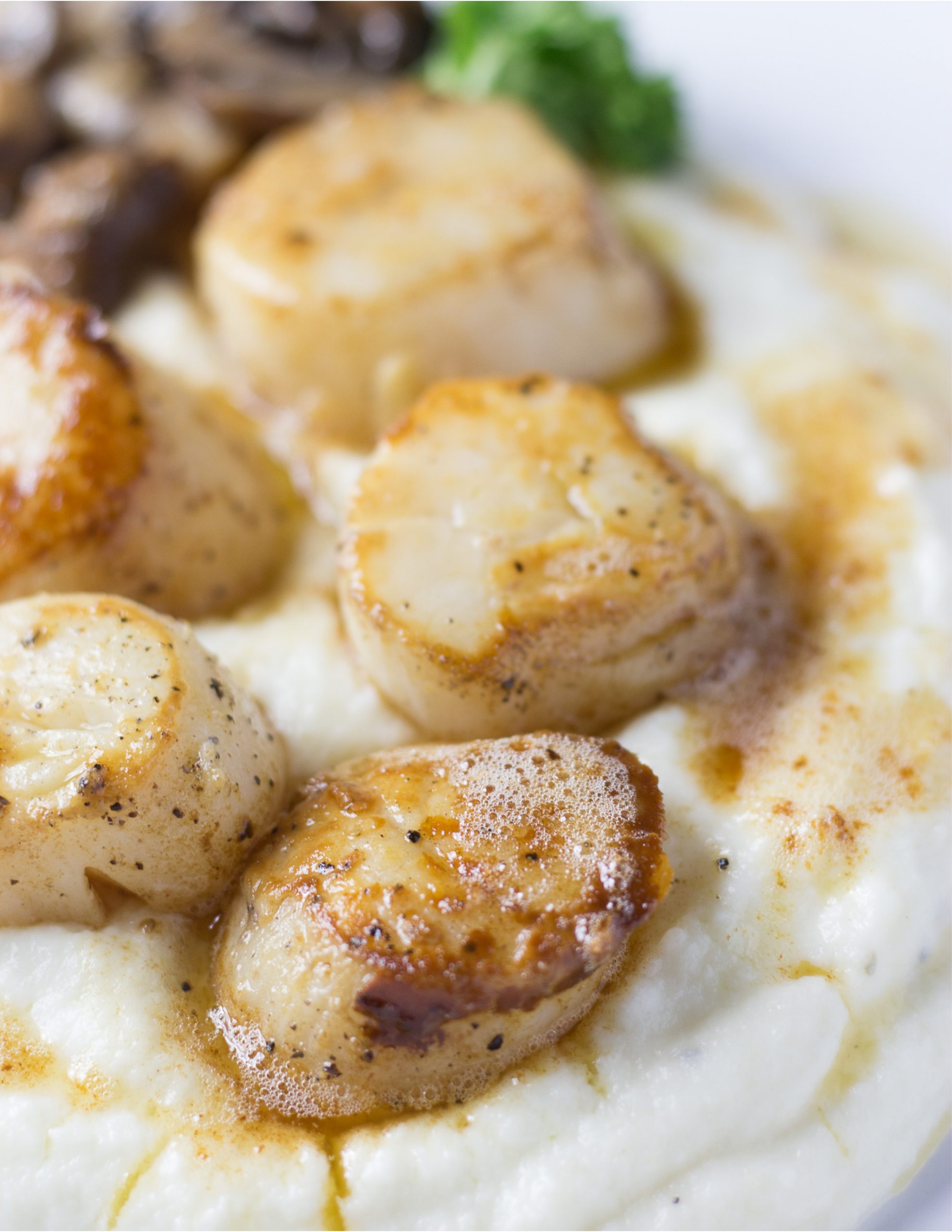 Vieiras (Scallops) a la Plancha sobre Puré de Coliflor y Mantequilla ...