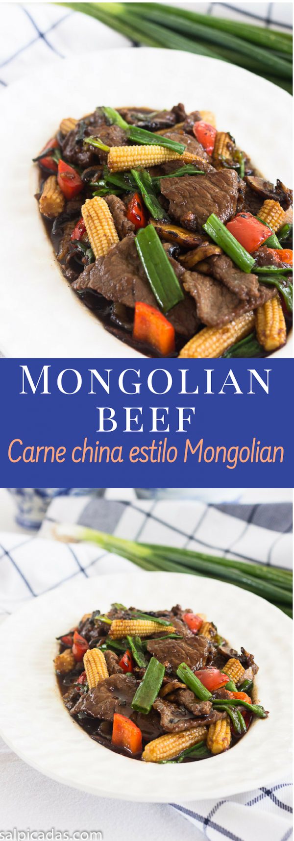 Mongolian Beef – ENSALPICADAS