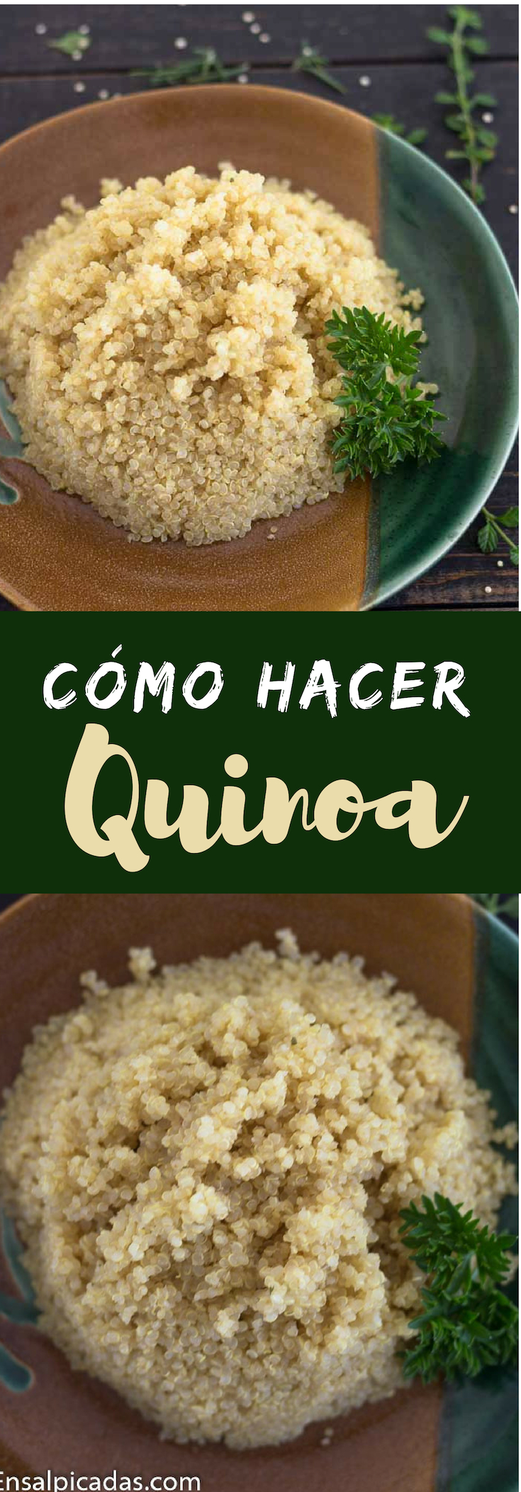 Qué es la Quinoa y cómo se prepara – ENSALPICADAS